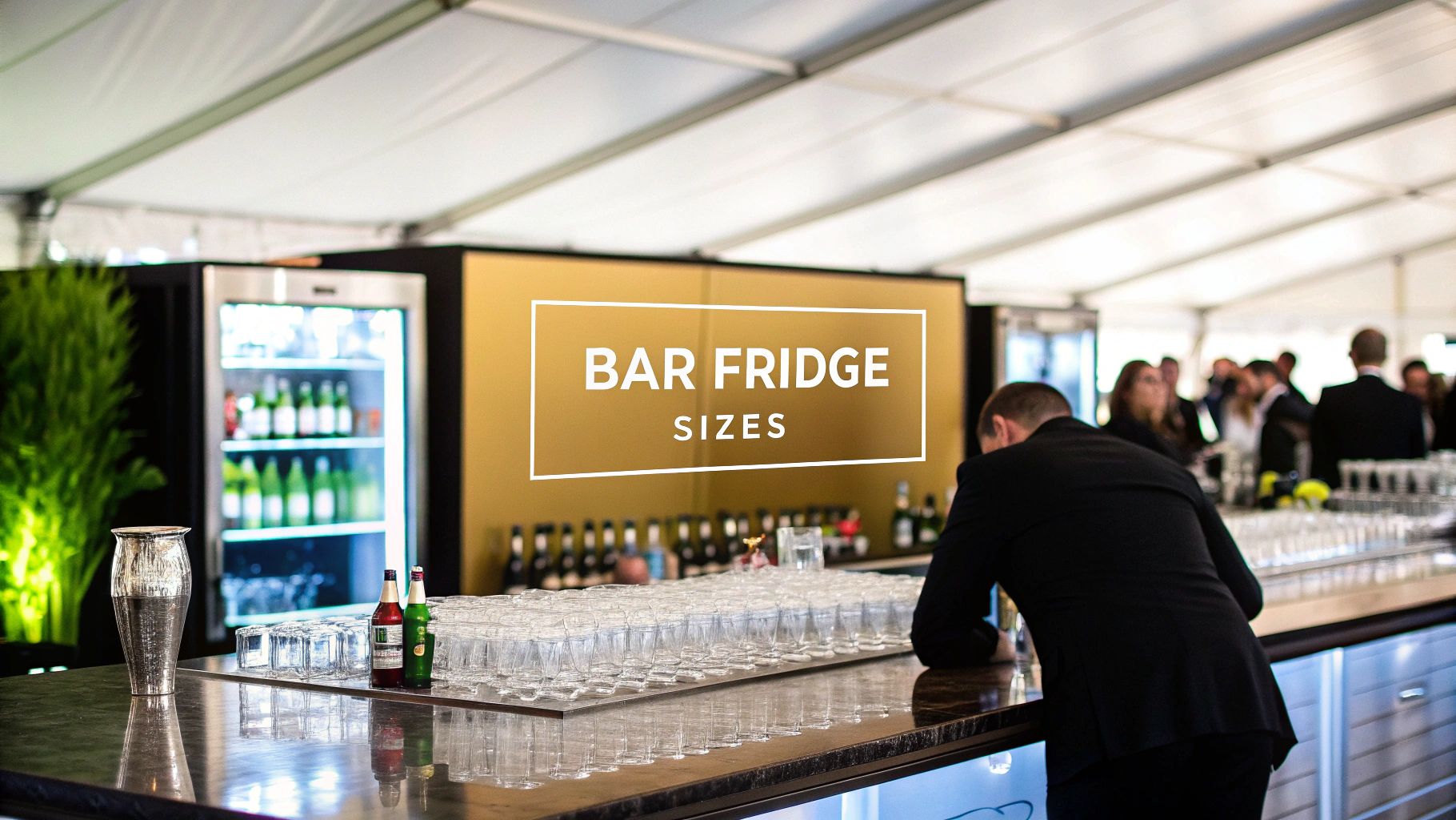 Bar Refrigerator Sizes: bar refrigerator sizes guide for events